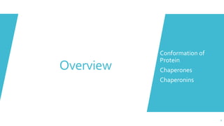 Chaperone and protein folding | PDF