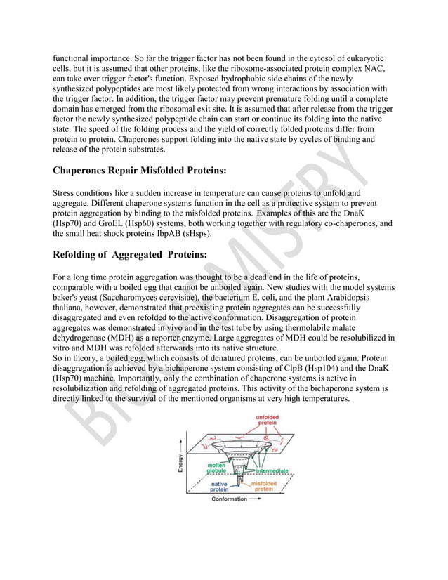 Chaperones | PDF | Chemistry | Science
