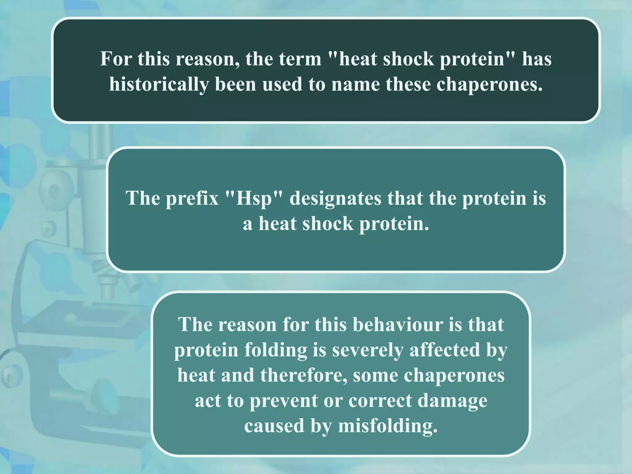 Chaperones | PPTX
