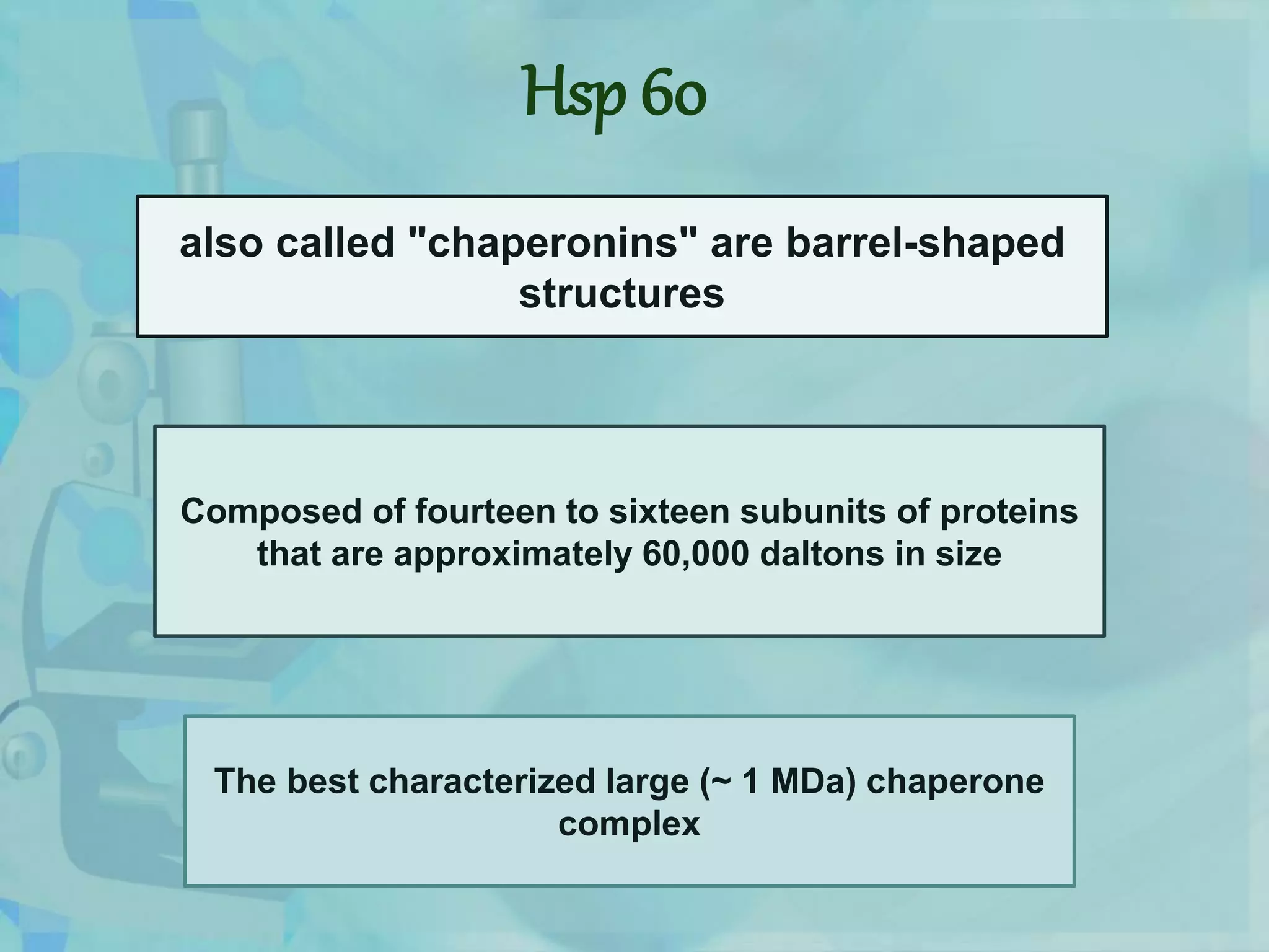 Chaperones | PPTX