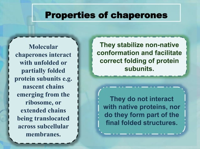 Chaperones | PPTX | Genetics | Science