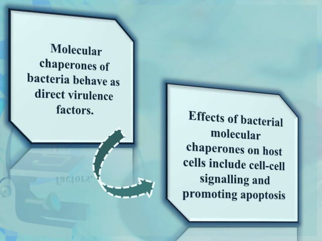 Chaperones | PPTX | Genetics | Science