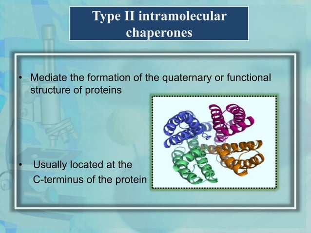 Chaperones | PPTX | Genetics | Science