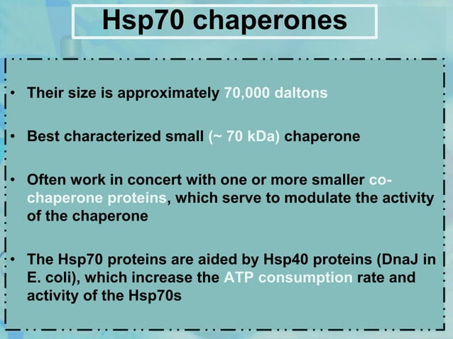 Chaperones | PPTX | Genetics | Science