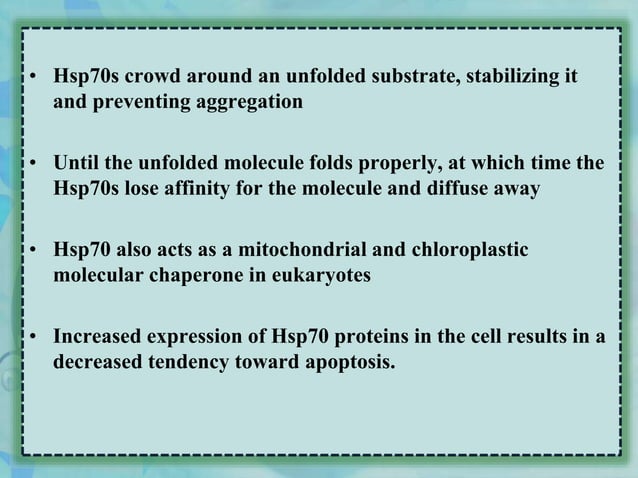 Chaperones | PPTX | Genetics | Science