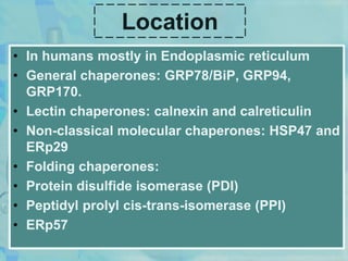 Chaperones Pptx