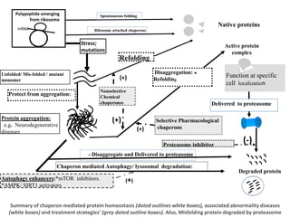 Chaperon modulators-drugs affect proteostasis.pdf