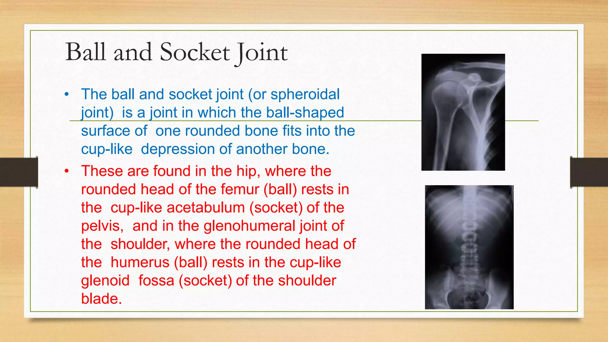 chapter- body movements | PPTX