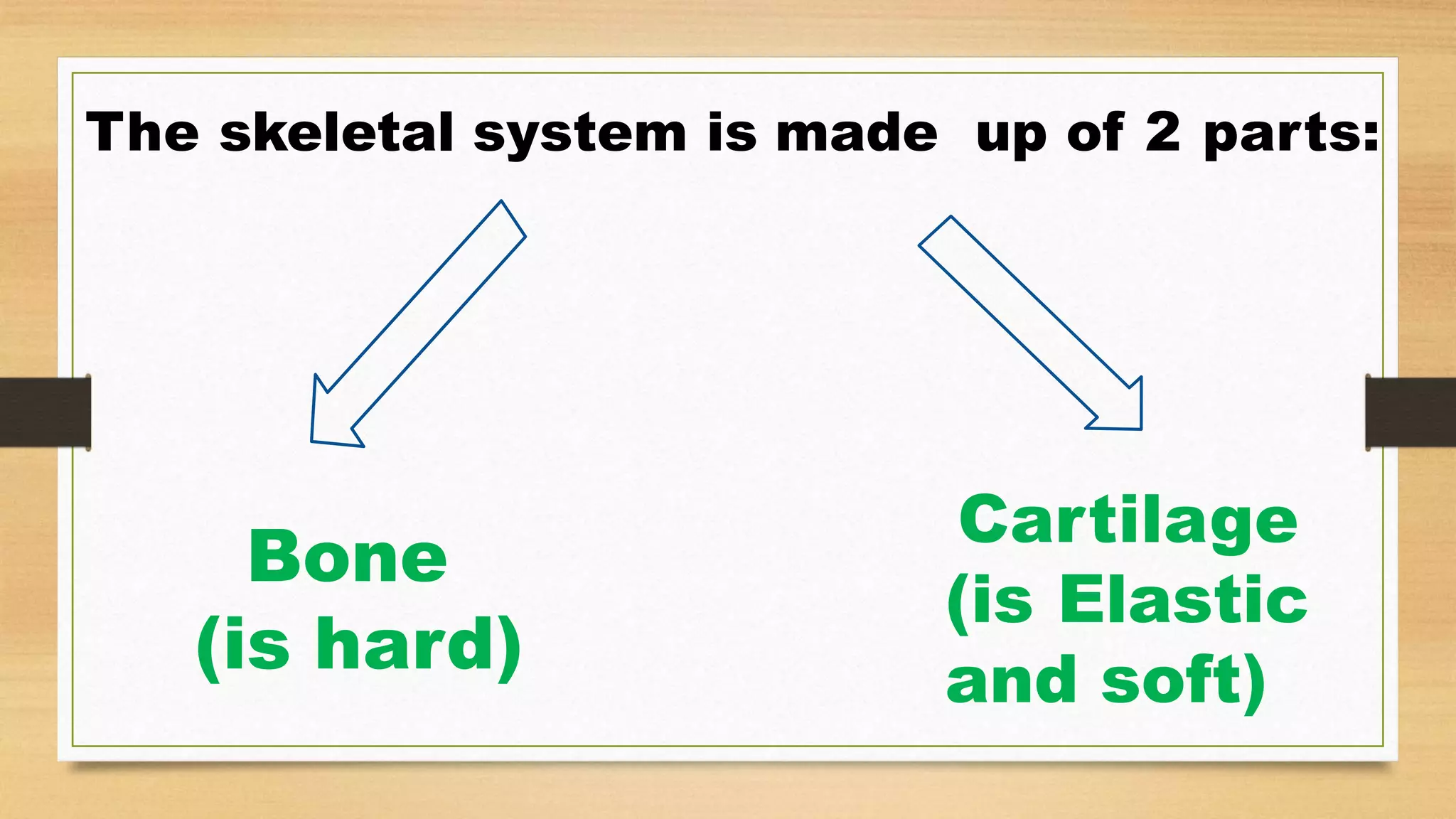 chapter- body movements | PPTX