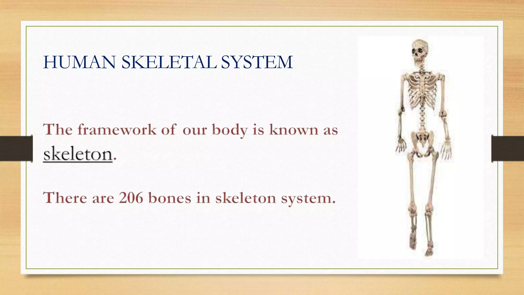 chapter- body movements | PPTX