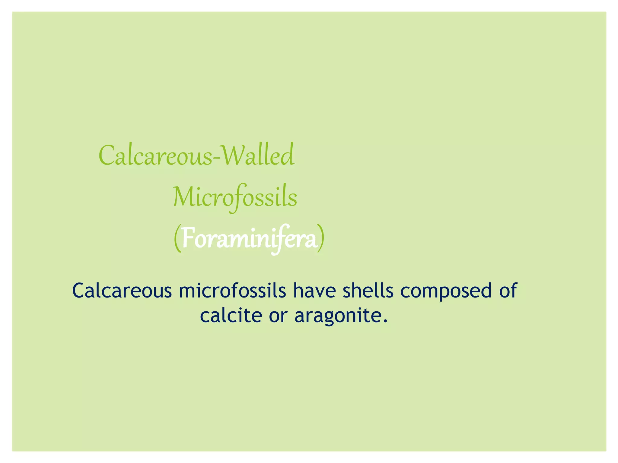 chapt. 6 Foraminifera - Copy.pptx