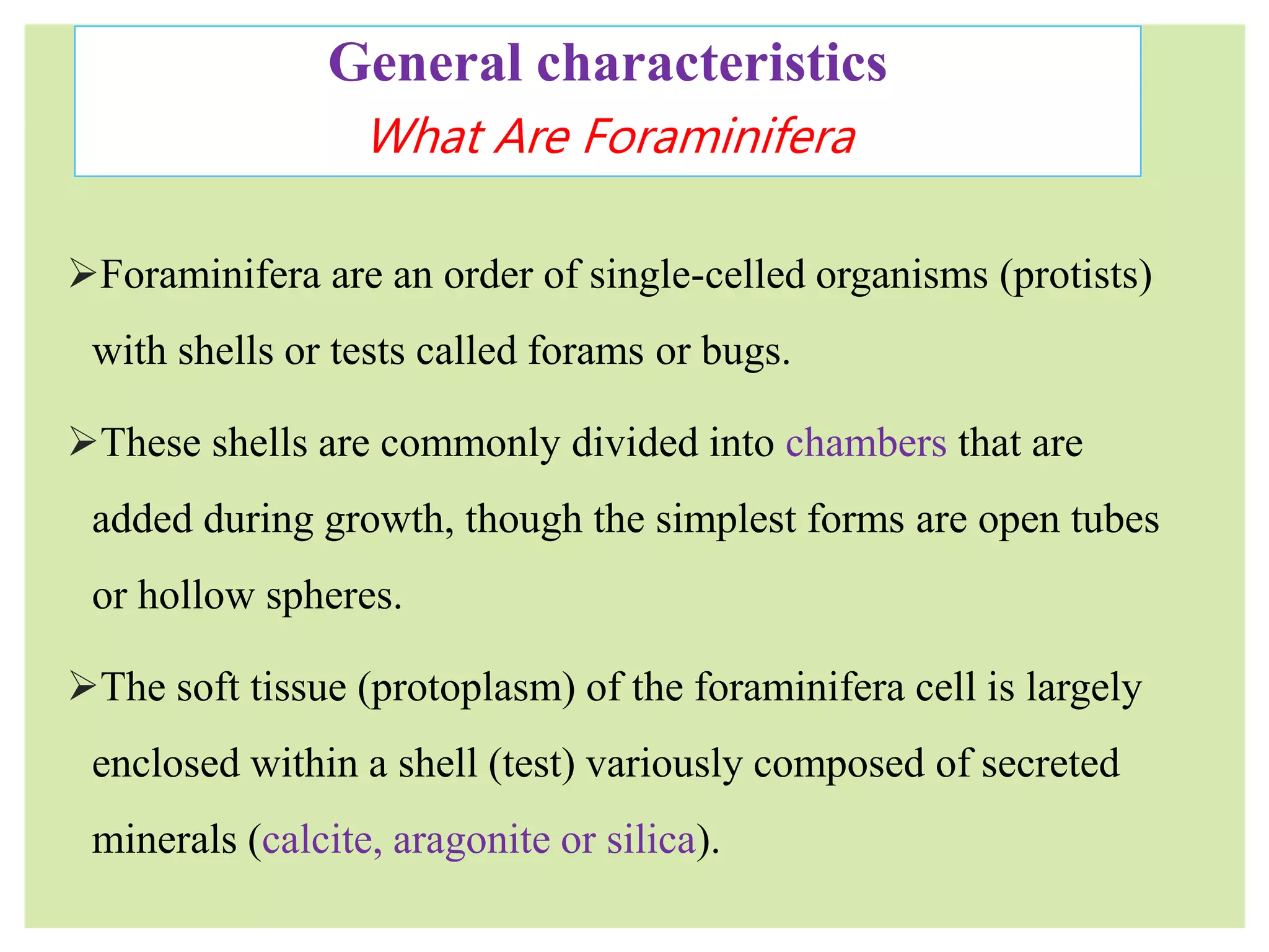 chapt. 6 Foraminifera - Copy.pptx