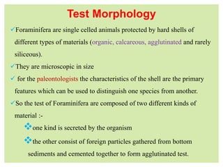 chapt. 6 Foraminifera - Copy.pptx