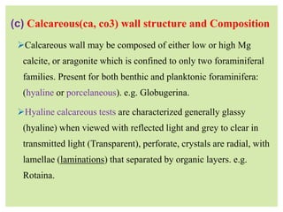 chapt. 6 Foraminifera - Copy.pptx