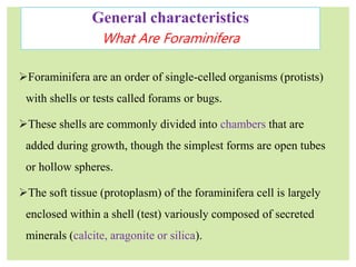 chapt. 6 Foraminifera - Copy.pptx