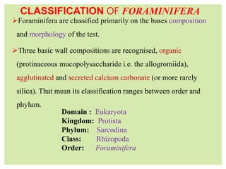 chapt. 6 Foraminifera - Copy.pptx