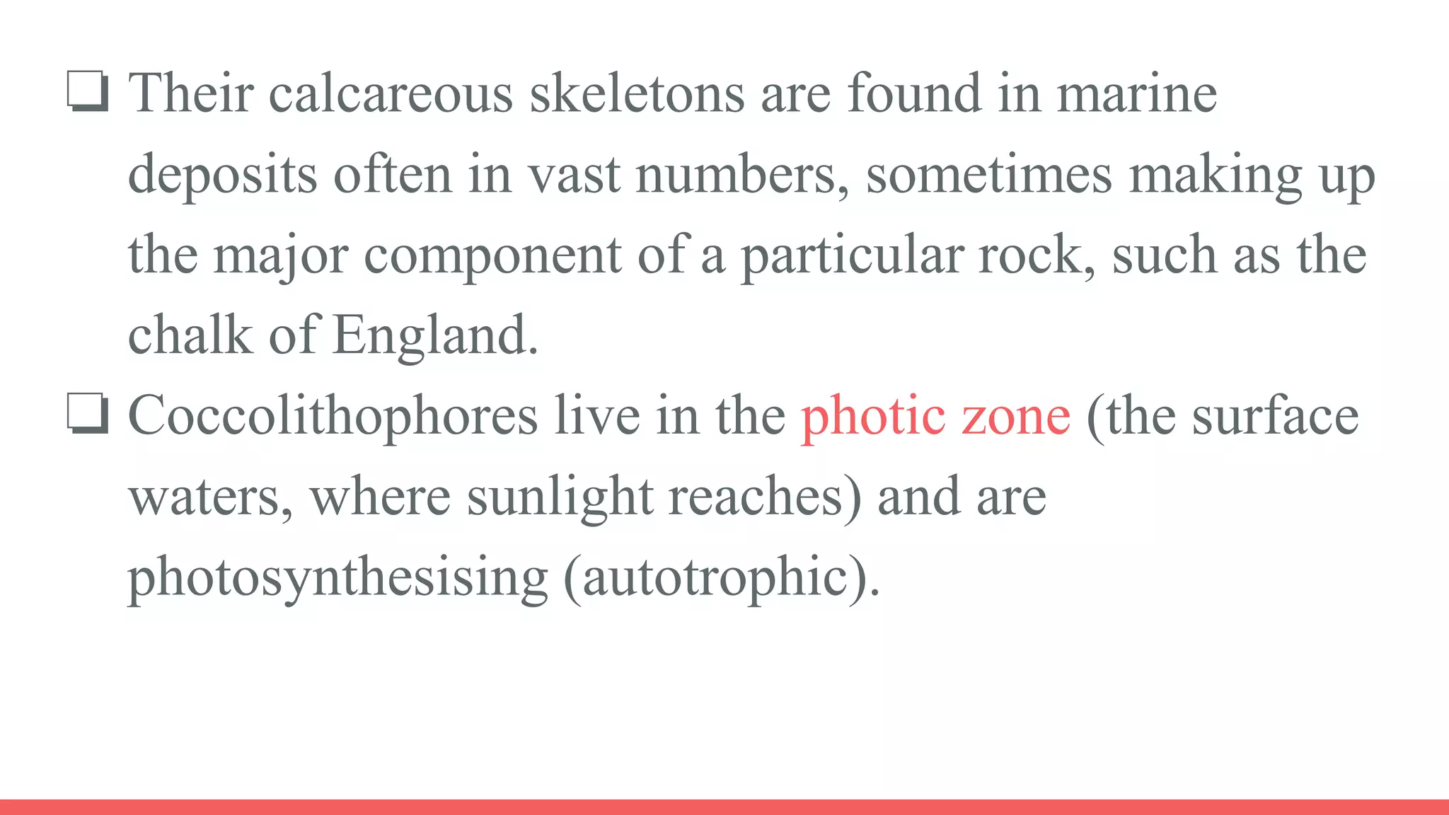 Chapt 9 Nannofossil Coccolithophores 1 Pptx