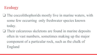 chapt. 9 nannofossil coccolithophores (1).pptx