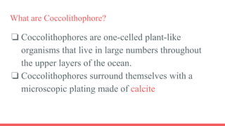 chapt. 9 nannofossil coccolithophores (1).pptx