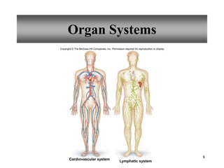 chapt01_holes_lecture_animation_jwt (1).ppt
