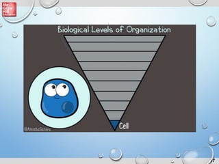 ppppppp | PPT | Biological Sciences | Science