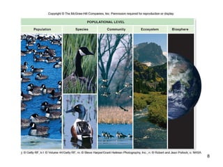 Chapt01 lecture | PPT