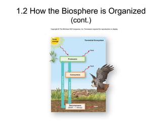 chapt01_lecture.ppt | Biological Sciences | Science
