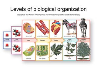 chapt01_lecture.ppt