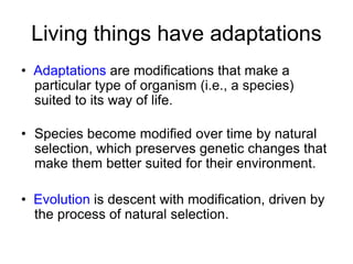 chapt01_lecture.ppt | Biological Sciences | Science