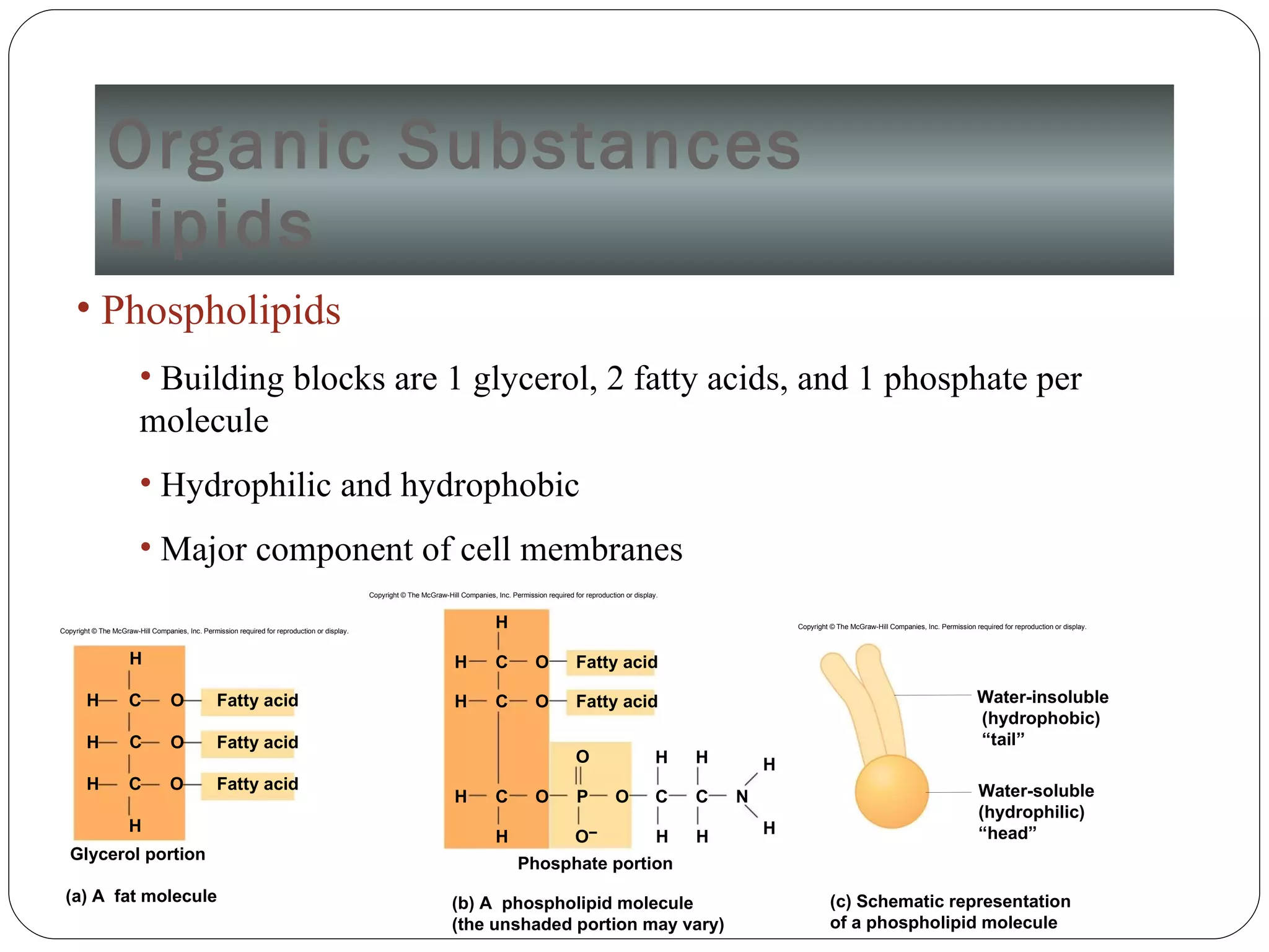 Chapt02 Holes Lecture | PPT
