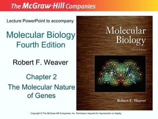 chapt02_lecture.ppt molecular biology 11 | PPT