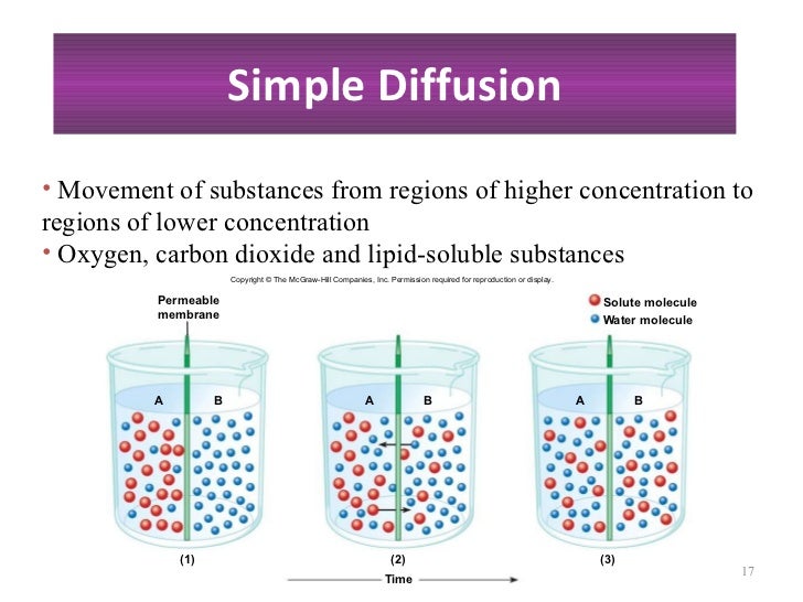 Chapt03 Holes Lecture Animation[1]