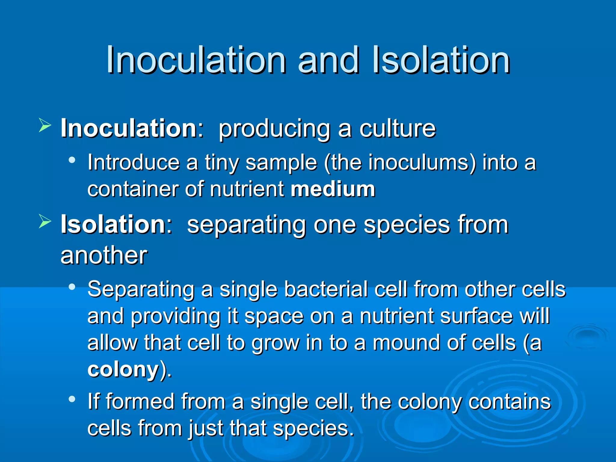ch 3 mirco bio lecture | PPT