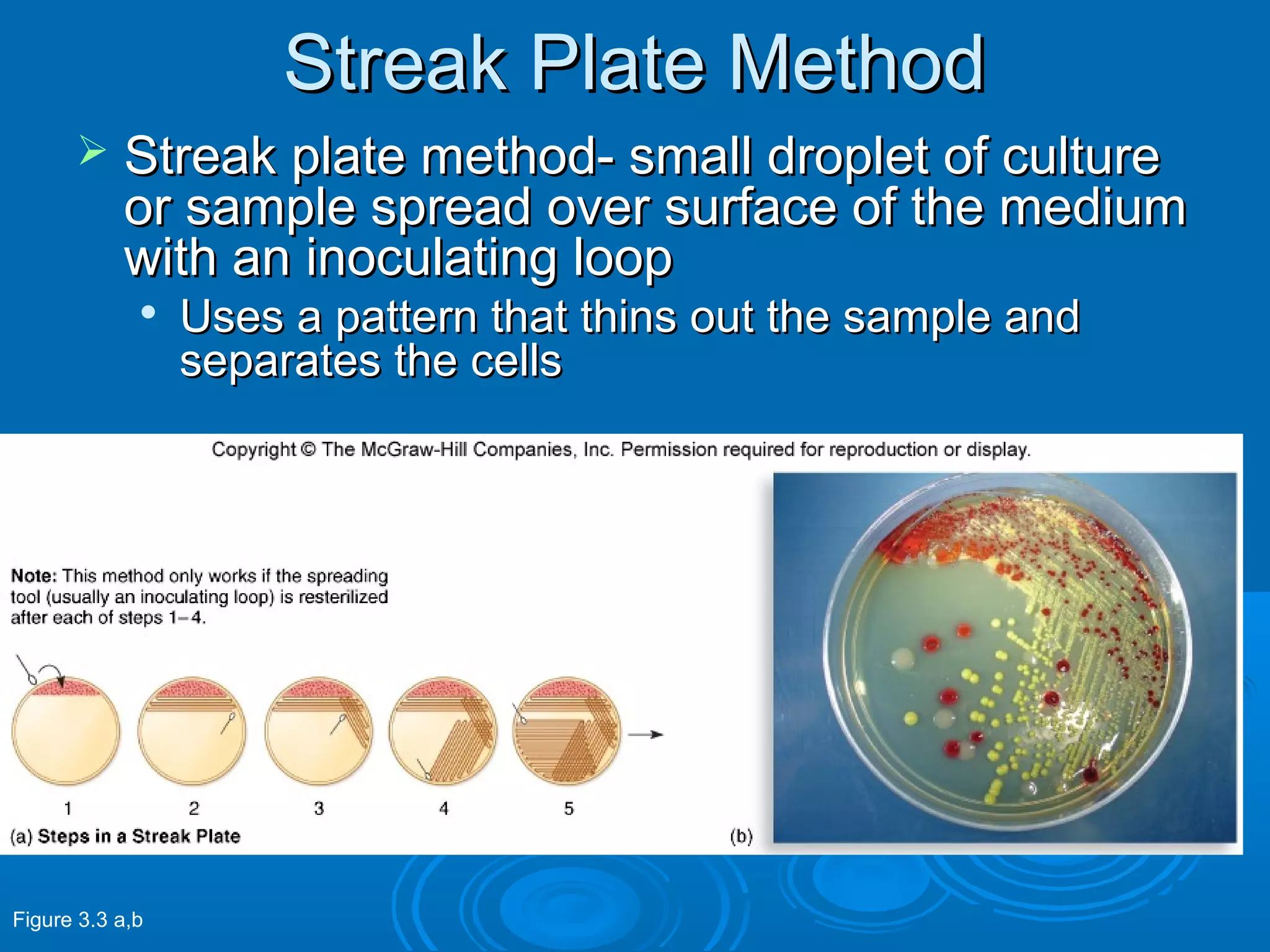 ch 3 mirco bio lecture | PPT