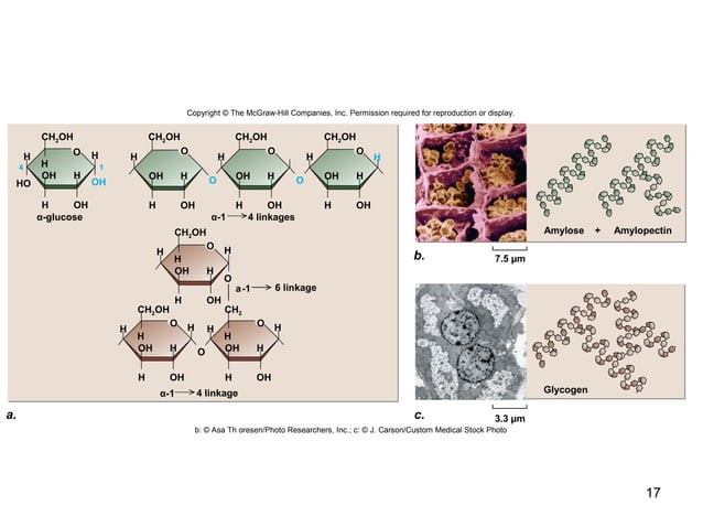 Chapt03powerpoint201 150907161731-lva1-app6892 | PPT
