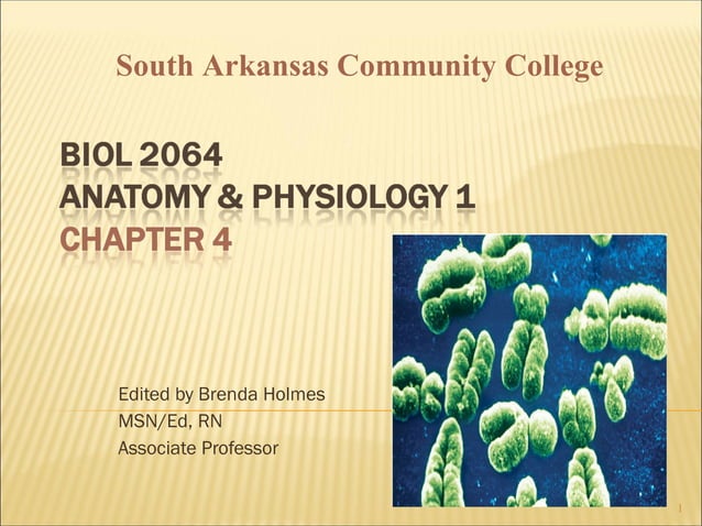 Chapt04 Holes Lecture Animation[1] | PPT | Endocrine and Metabolic Diseases | Diseases and ...