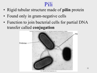 Chapt04 lecture | PPT