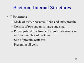 Chapt04 lecture | PPT