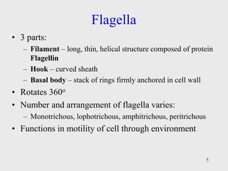 Chapt04 lecture | PPT