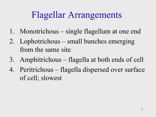 Chapt04 lecture | PPT