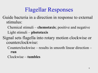 Chapt04 lecture | PPT