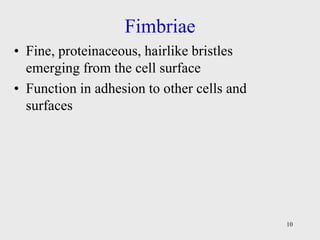 Chapt04 lecture | PPT