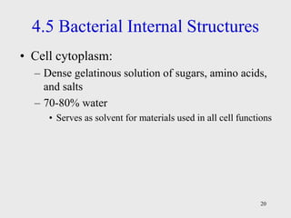 Chapt04 lecture | PPT