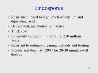 Chapt04 lecture | PPT