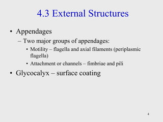 Chapt04 lecture | PPT
