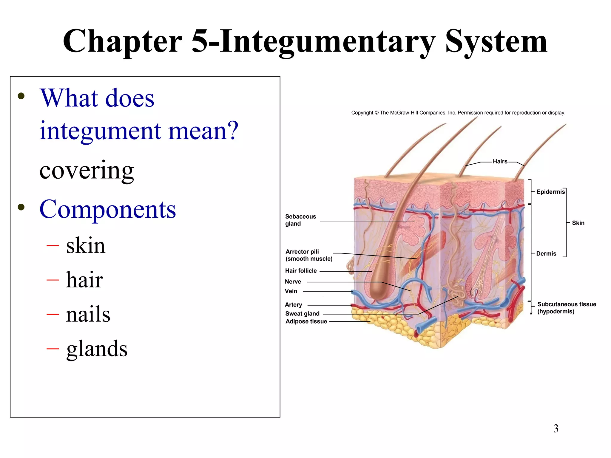 Chapt05 apr enhanced | PPT