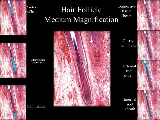 Chapt05 apr enhanced