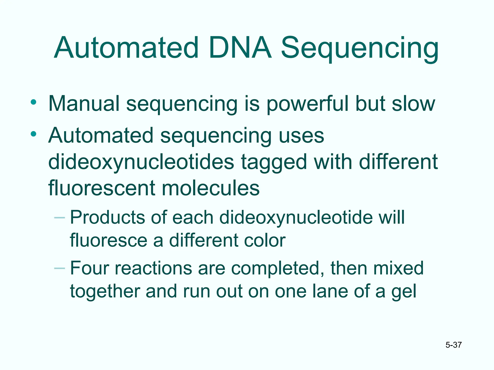 chapt05_lecture molecular biology .ppt11\ | PPT