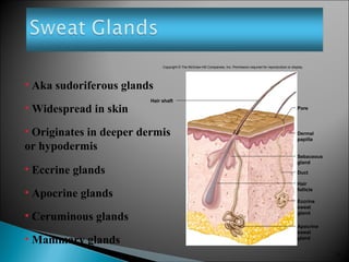 Chapt06 Holes Lecture Animation[1] | PPT