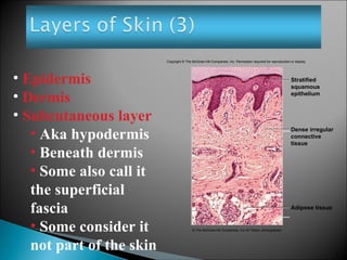 Chapt06 Holes Lecture Animation[1] | PPT